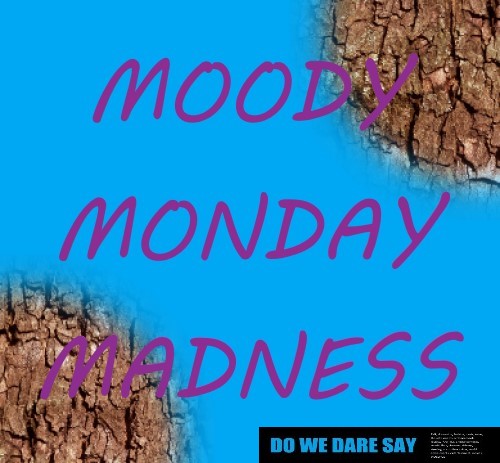 BY THE LIGHT ON THIS MOODY MONDAY MADNESS | dowedaresay.com