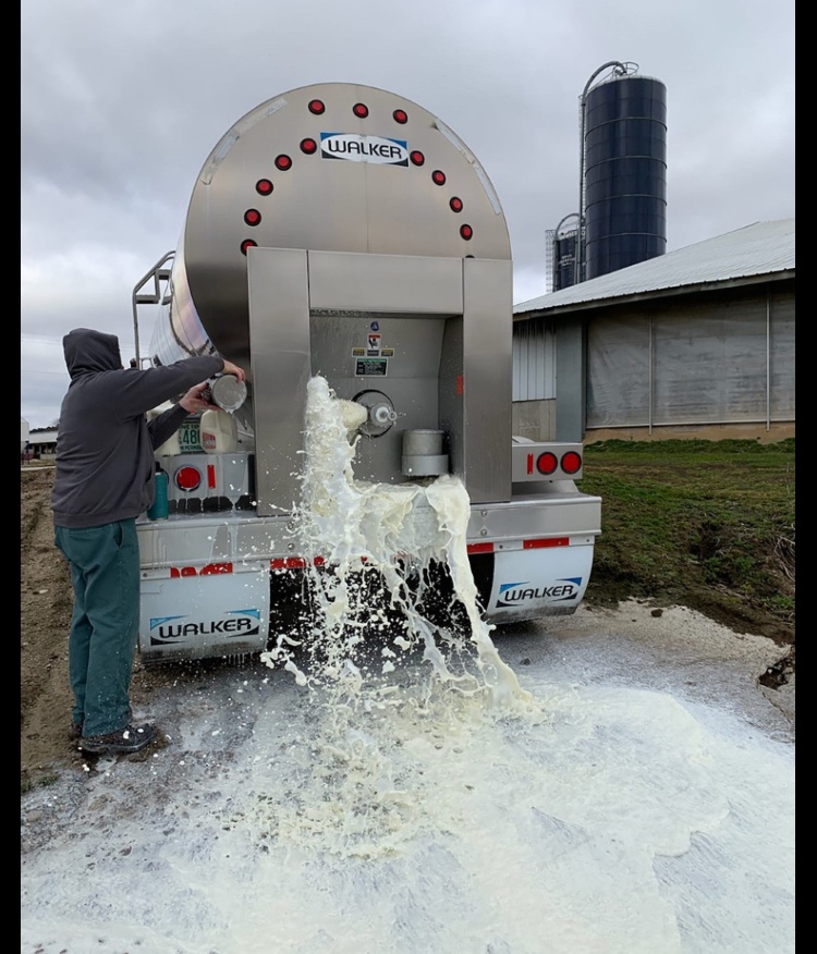 Milk Money Down The Drain and Shortage | dowedaresay.com